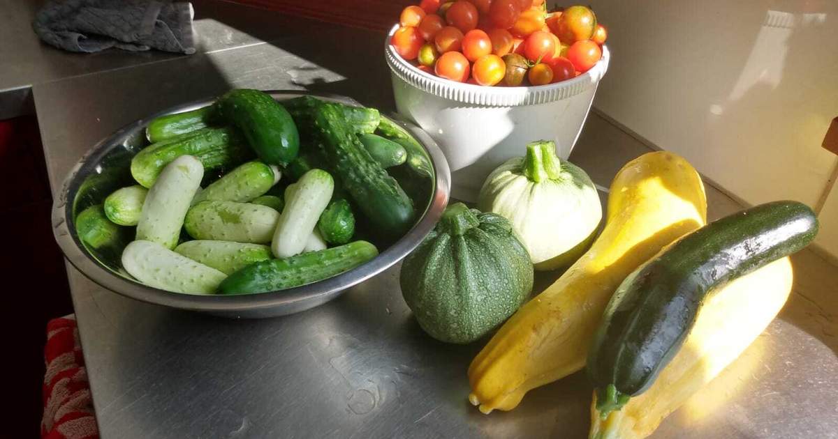 Bakken & koken Waarland | Het Zorgerf